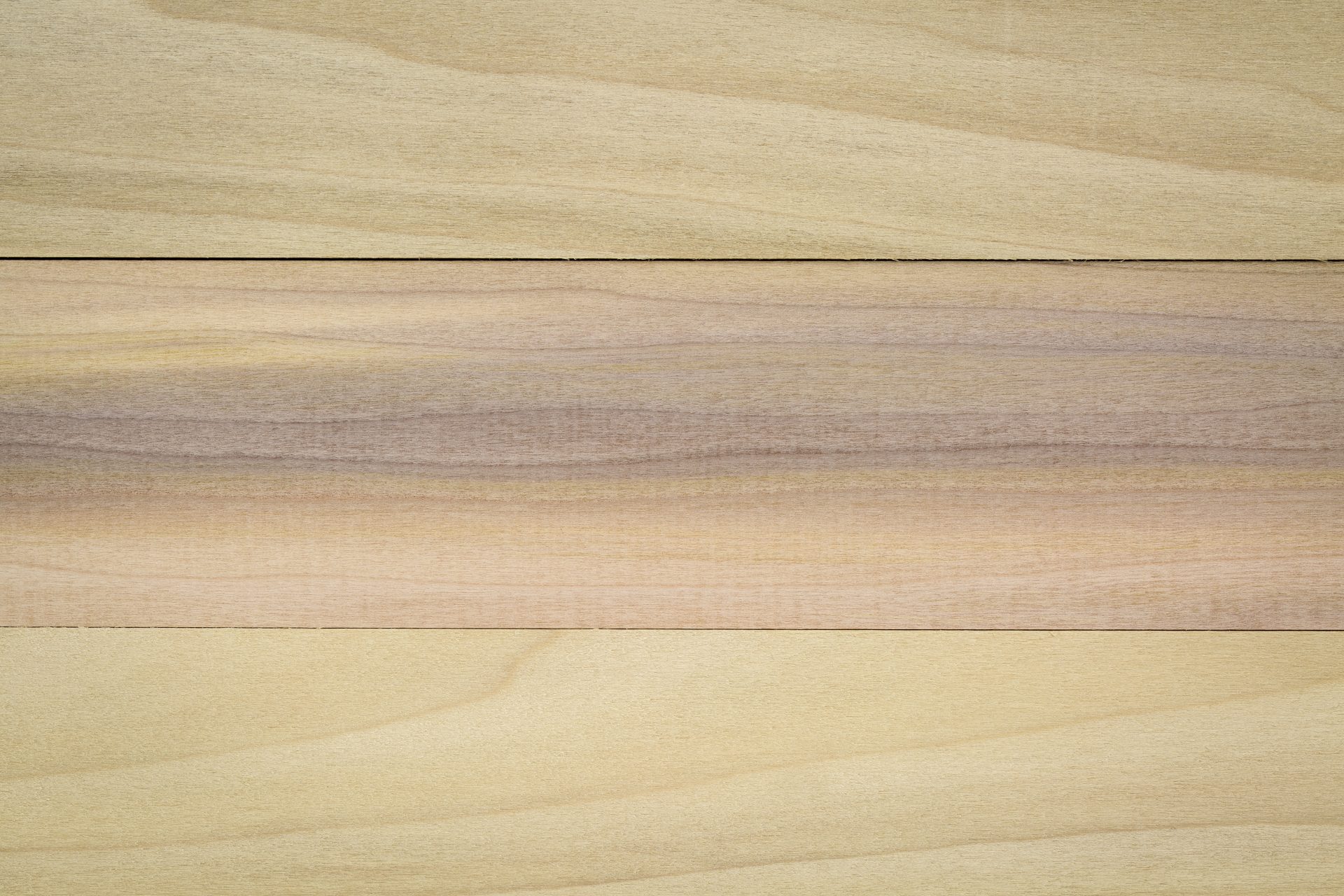 Poplar Wood Characteristics: Everything You Need to Know About Poplar ...